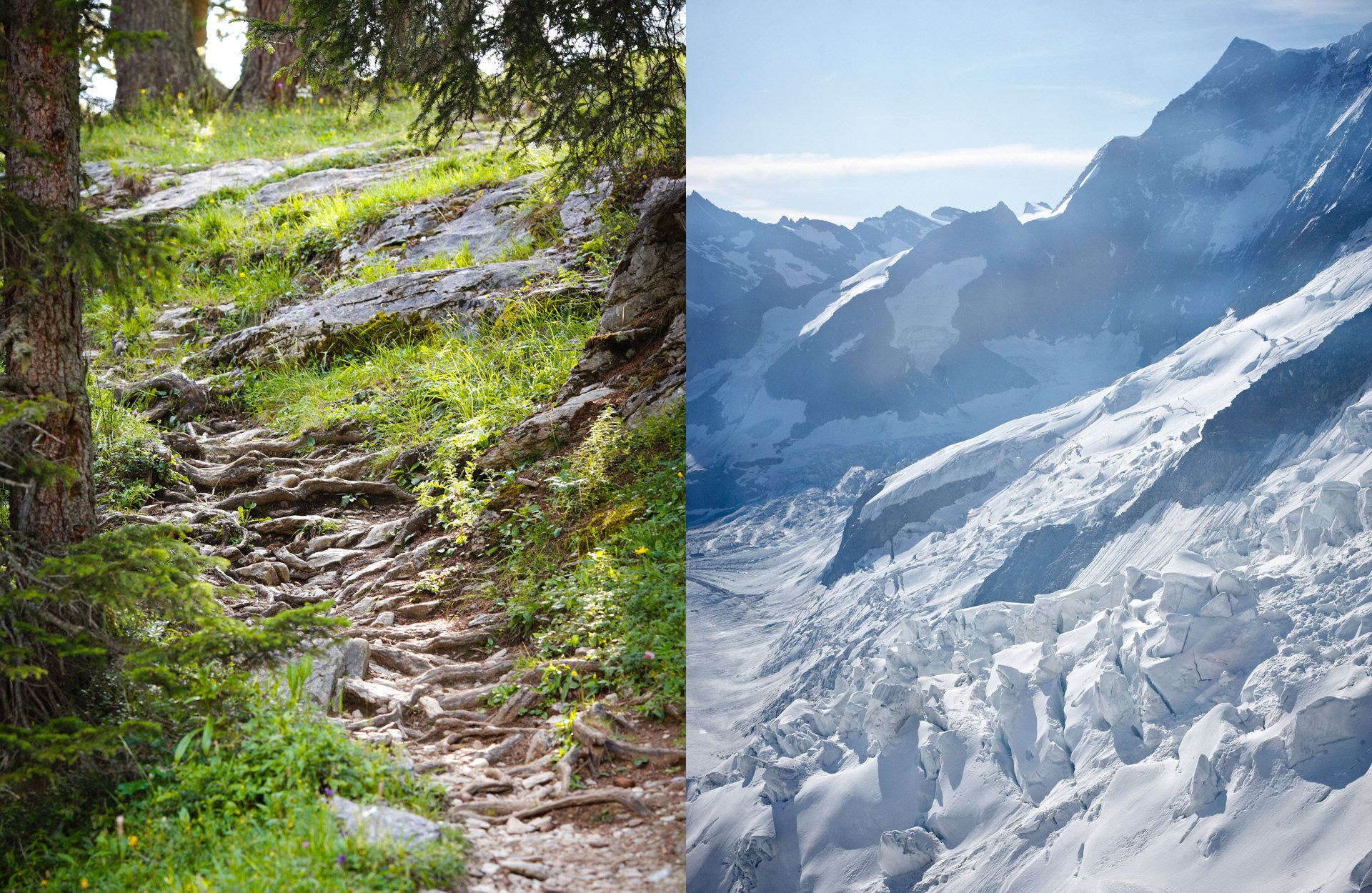 Scheidegg Hotels | Bellevue des Alpes