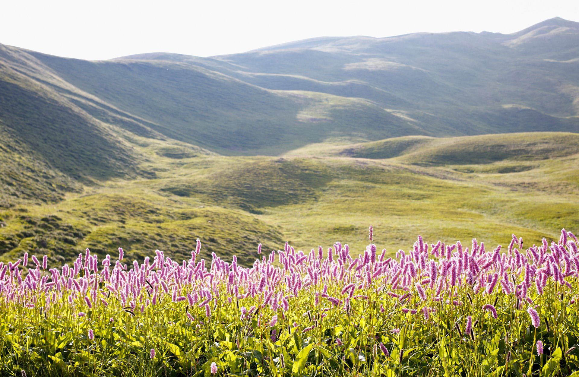 Scheidegg Hotels | Bellevue des Alpes
