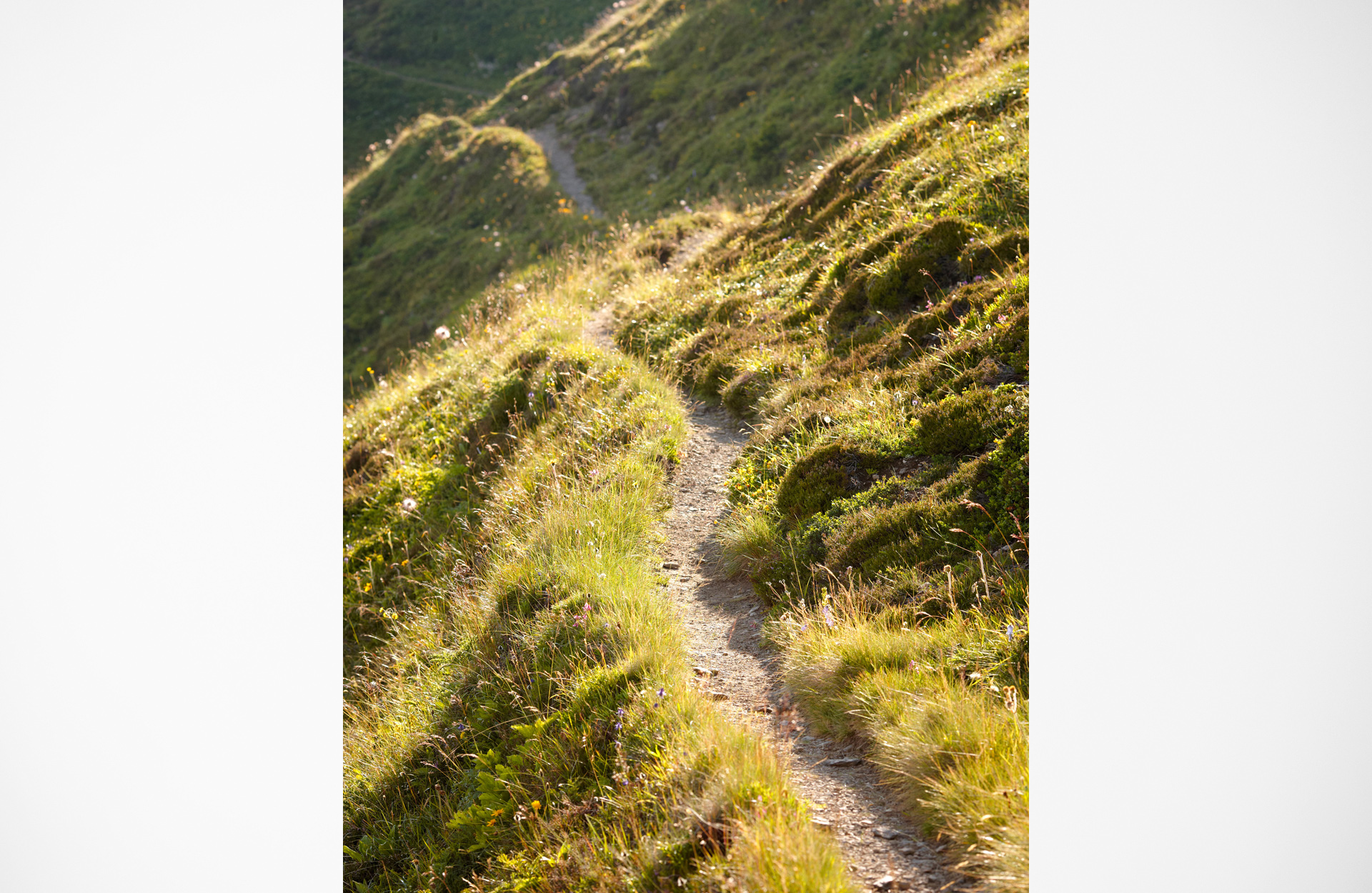 Scheidegg Hotels | Bellevue des Alpes