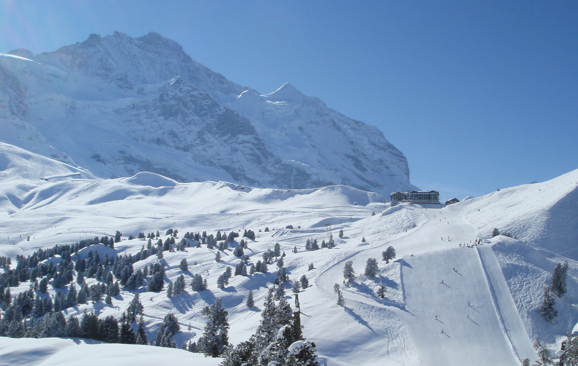 Scheidegg Hotels | Bellevue des Alpes